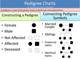 Igcse biology edexcel 3.13 3.33