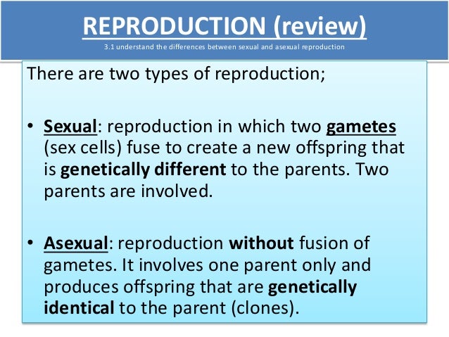 Igcse Biology Sexual And Asexual Reproduction