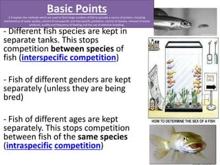 Igcse biology edexcel 5.1 5.9 | PPTX