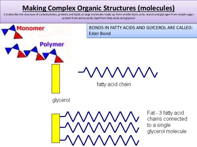 Starch Structural Formula Igcse