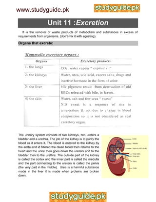 Igcse biology notes gooood | PDF