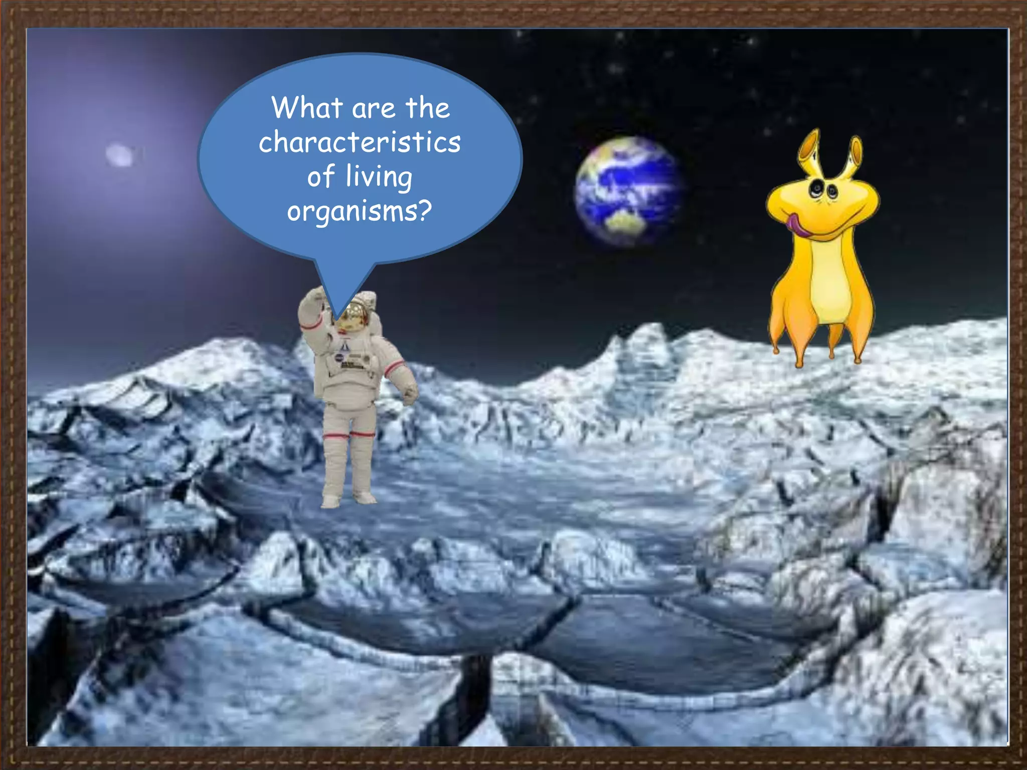 Igcse Biology Section 1 Lesson 1 Ppt