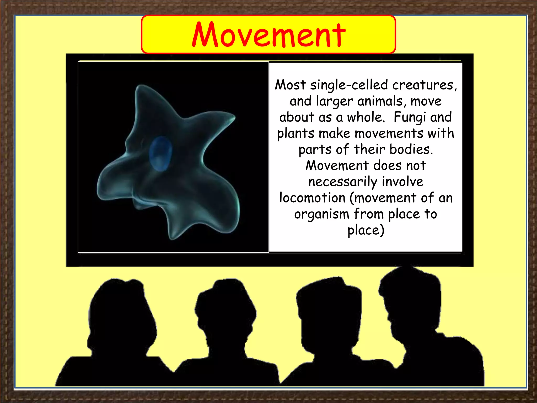 iGCSE Biology Section 1 Lesson 1.ppt
