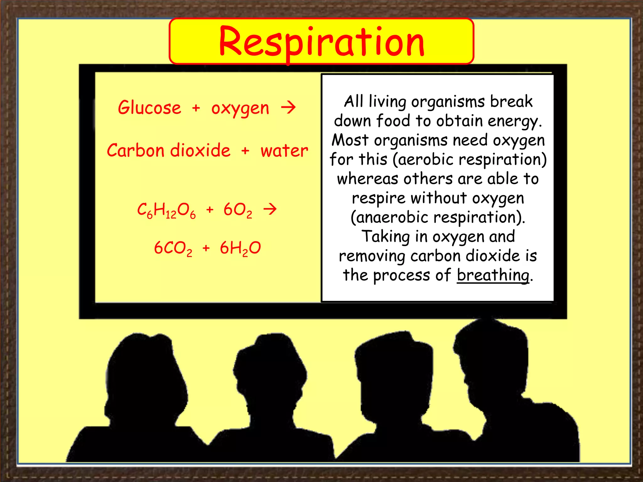 iGCSE Biology Section 1 Lesson 1.ppt