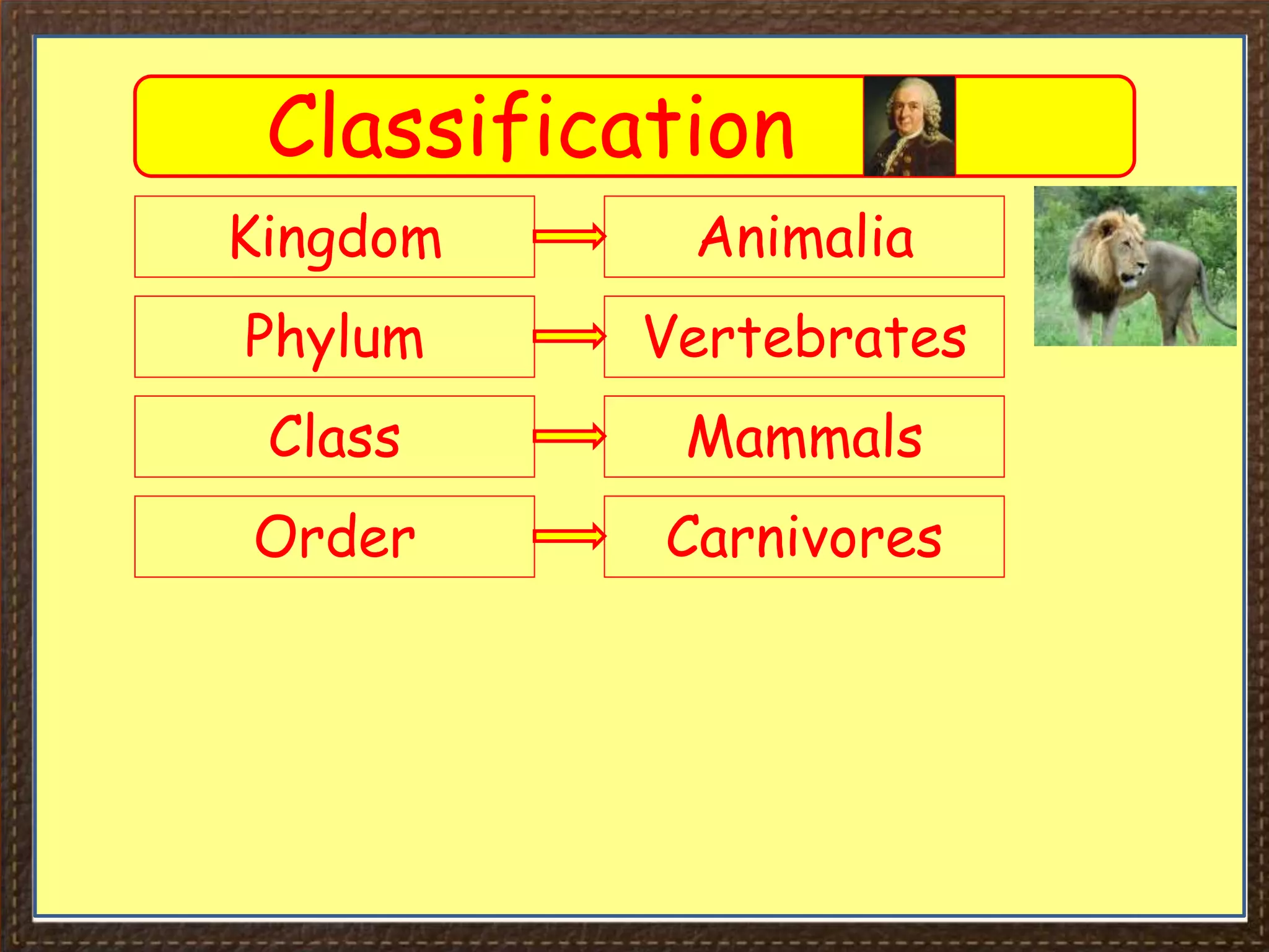 iGCSE Biology Section 1 Lesson 1.ppt