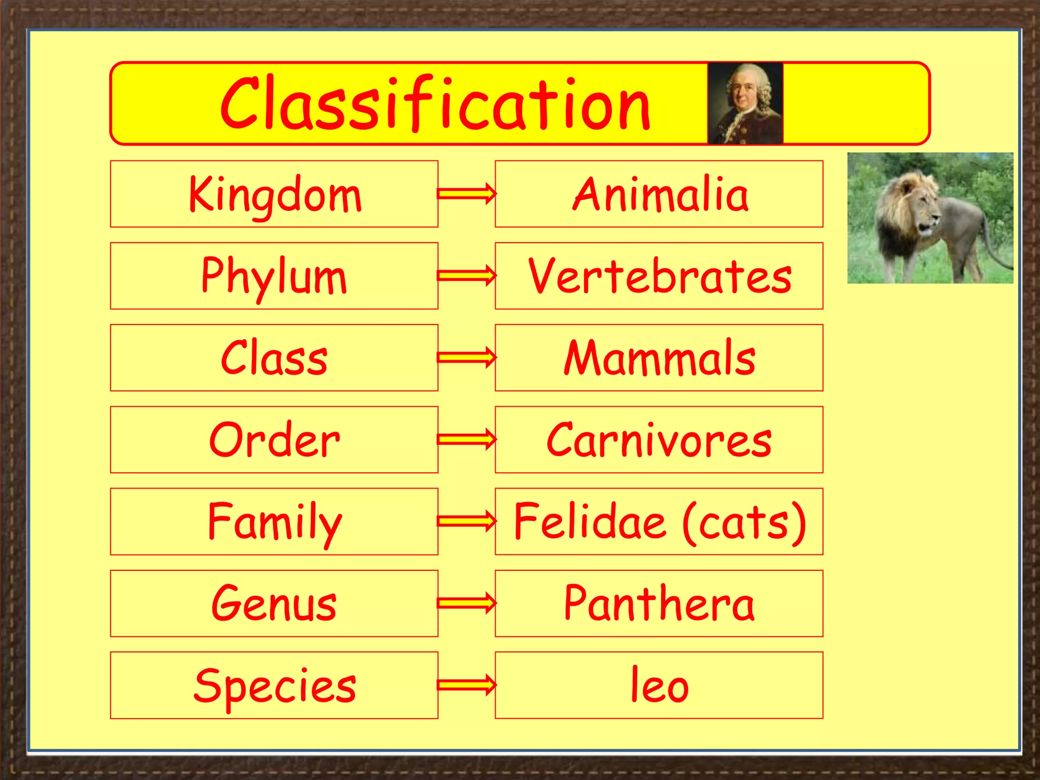 iGCSE Biology Section 1 Lesson 1.ppt