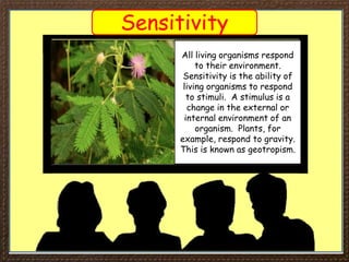 iGCSE Biology Section 1 Lesson 1.ppt