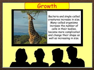 iGCSE Biology Section 1 Lesson 1.ppt