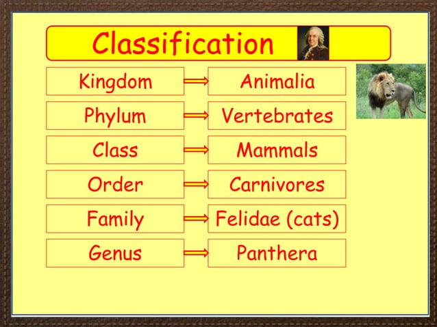 iGCSE Biology Section 1 Lesson 1.ppt