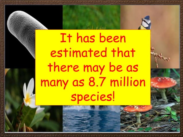 Igcse Biology Section 1 Lesson 1 Ppt