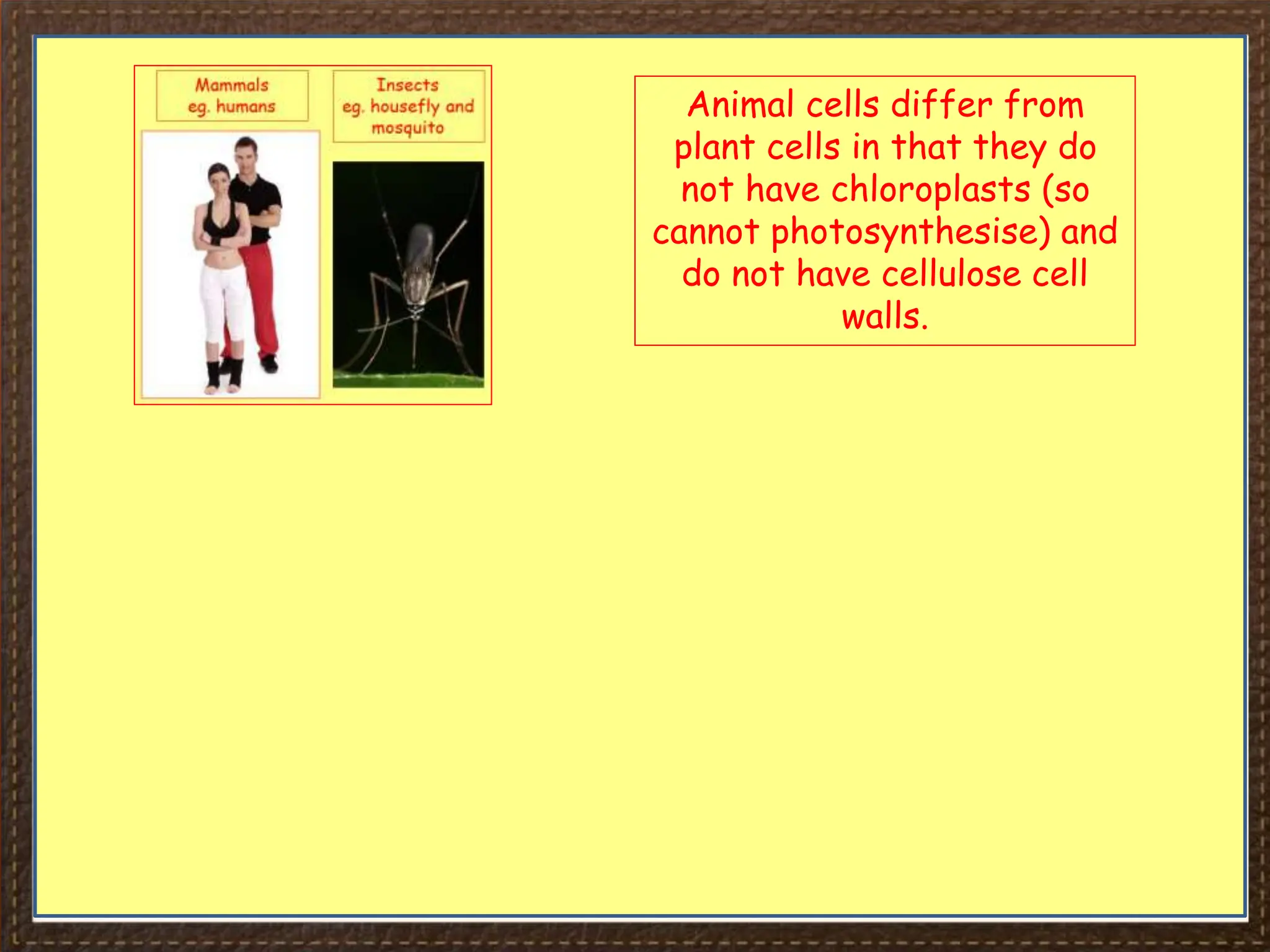 IGCSE Biology Section 1 Lesson 2 by HIna Imran (Jawahir Al Riyadh ...
