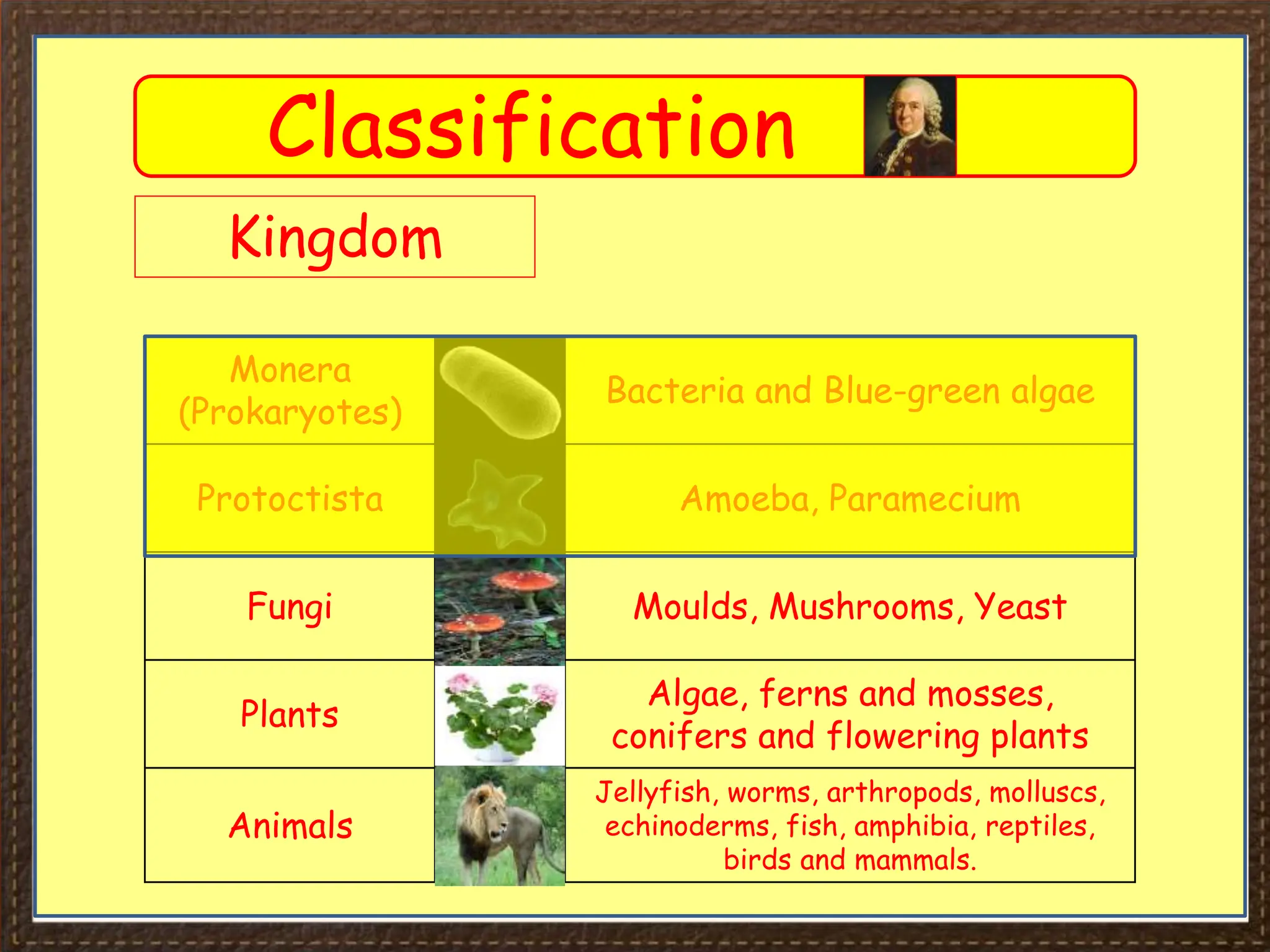 IGCSE Biology Section 1 Lesson 2 by HIna Imran (Jawahir Al Riyadh ...