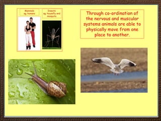 IGCSE Biology Section 1 Lesson 2 by HIna Imran (Jawahir Al Riyadh ...