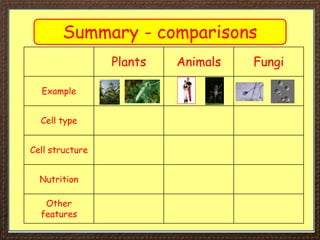 IGCSE Biology Section 1 Lesson 2 by HIna Imran (Jawahir Al Riyadh ...