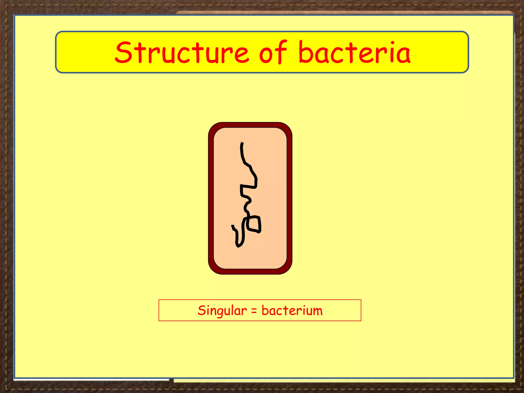 iGCSE Biology Section 1 Lesson 3.ppt