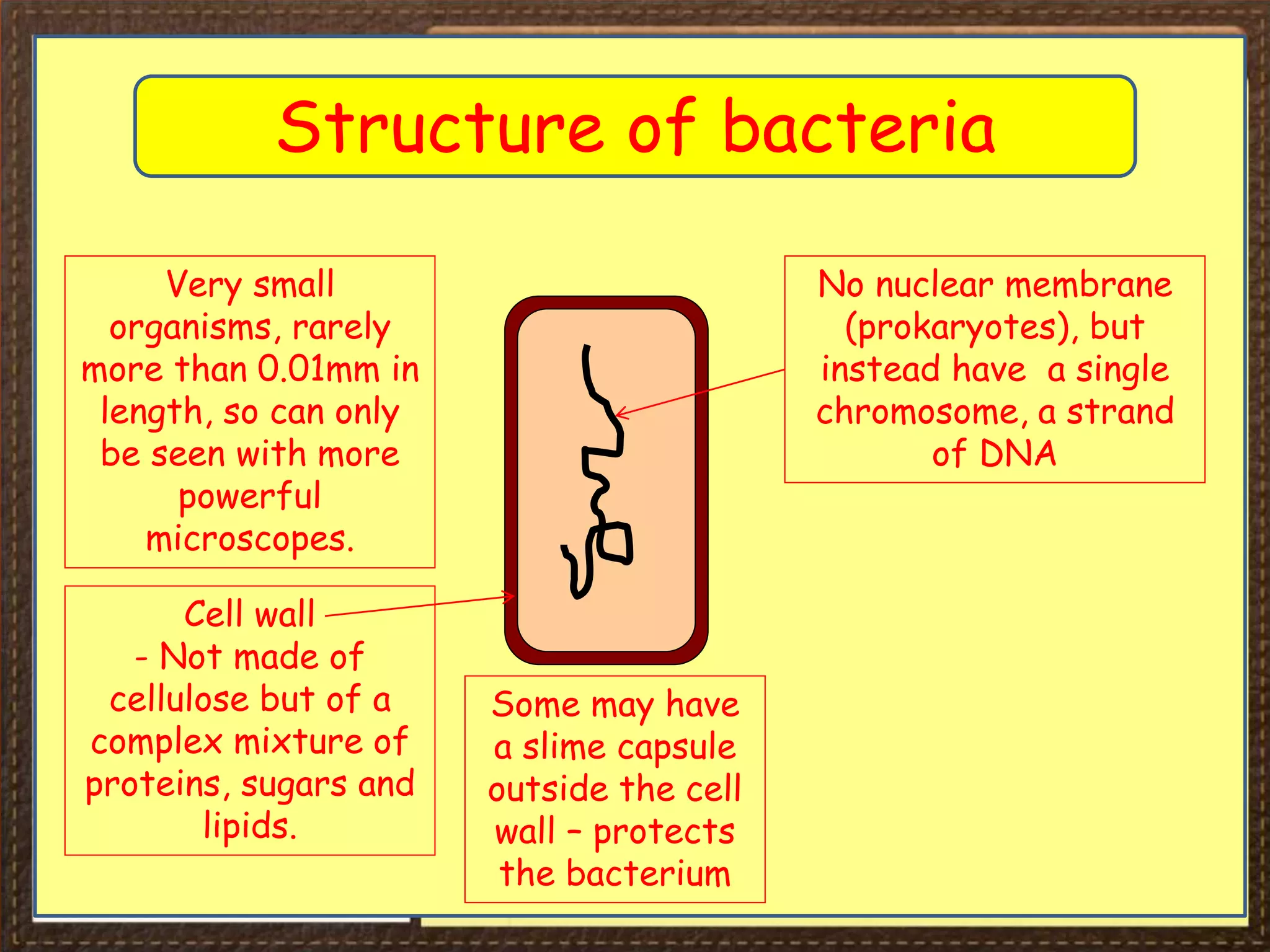 iGCSE Biology Section 1 Lesson 3.ppt