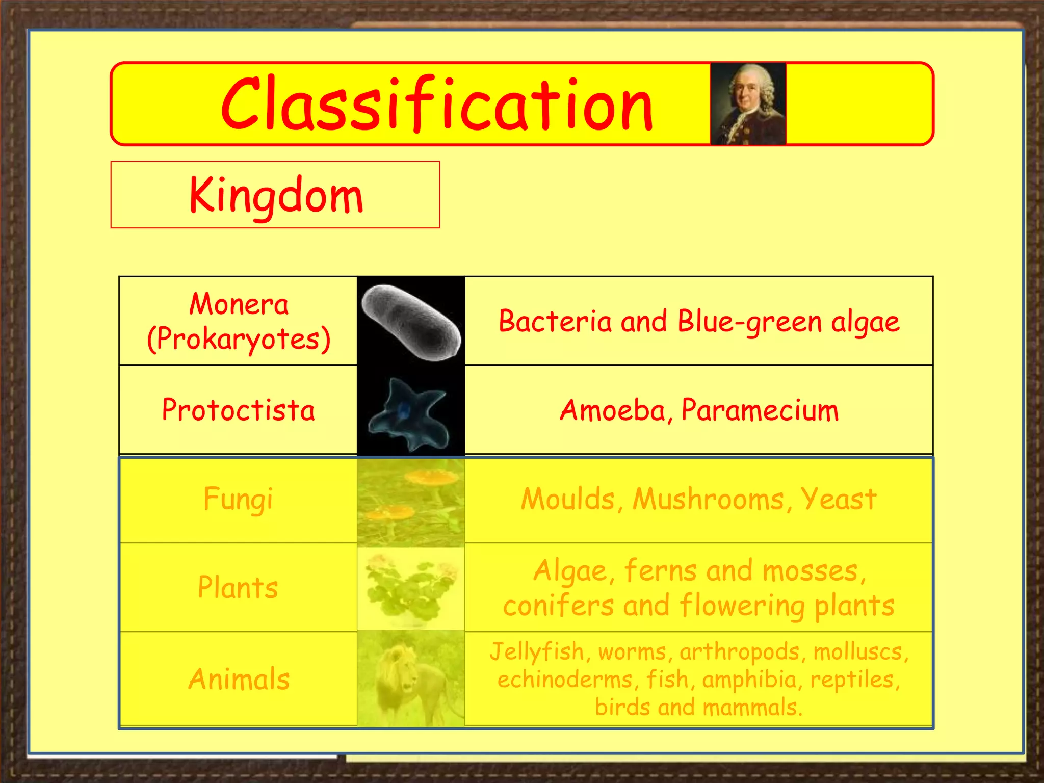 iGCSE Biology Section 1 Lesson 3.ppt