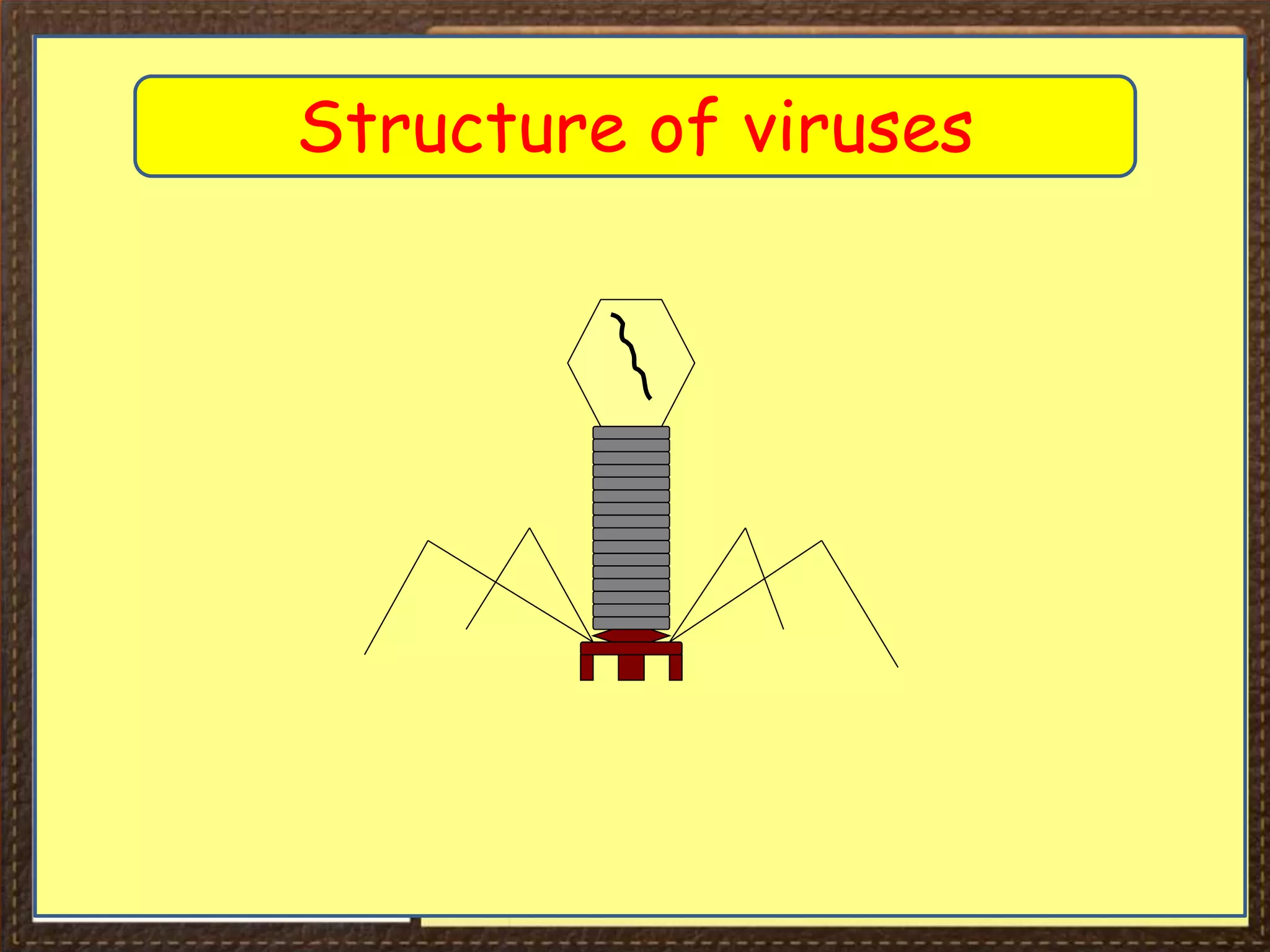 Igcse Biology Section 1 Lesson 3 Ppt