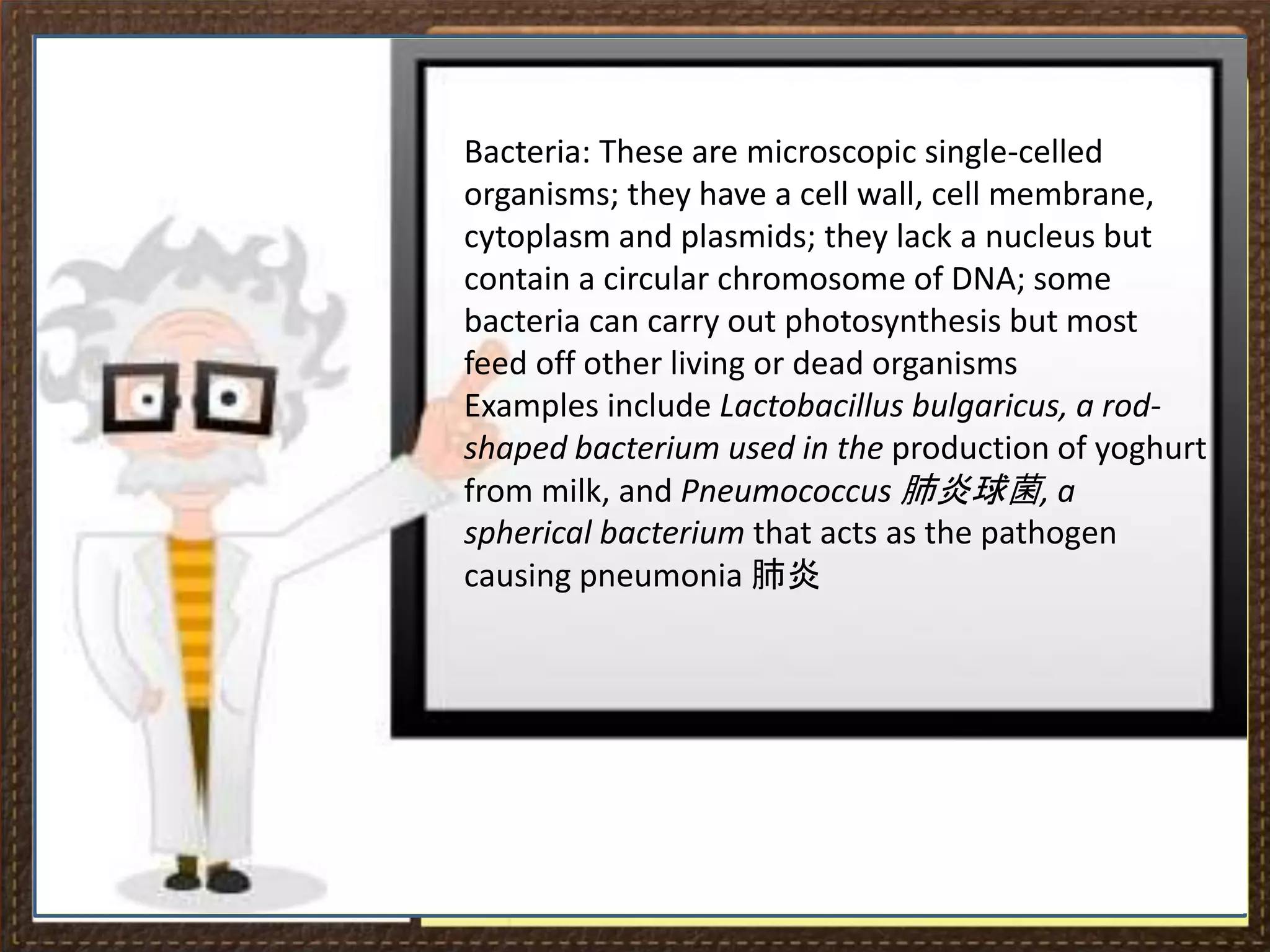 Igcse Biology Section 1 Lesson 3 Ppt