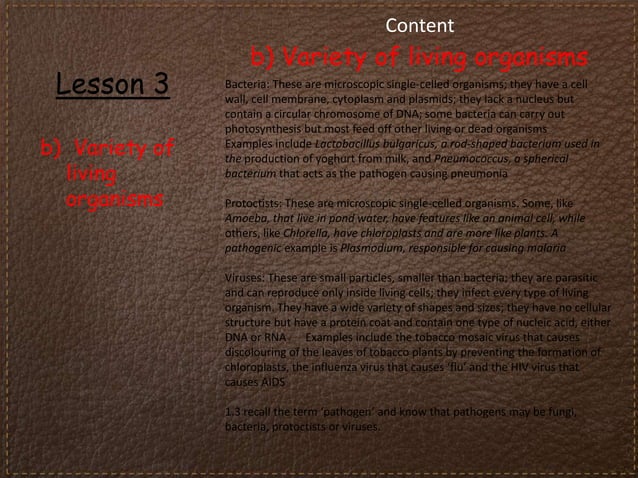 Igcse Biology Section 1 Lesson 3 Ppt