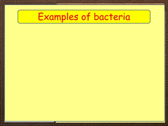 Igcse Biology Section 1 Lesson 3 Ppt