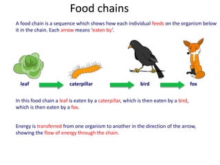 iGCSE Biology Section 4 Lesson 2.pptx