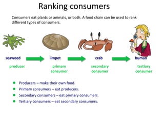 iGCSE Biology Section 4 Lesson 2.pptx