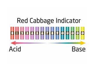 iGCSE Chemistry Lesson 1 - Neutralisation and the pH scale (triple).pptx