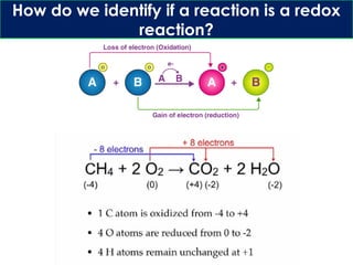 Comprehensive Guide to Redox Reactions and Oxidation States in ...