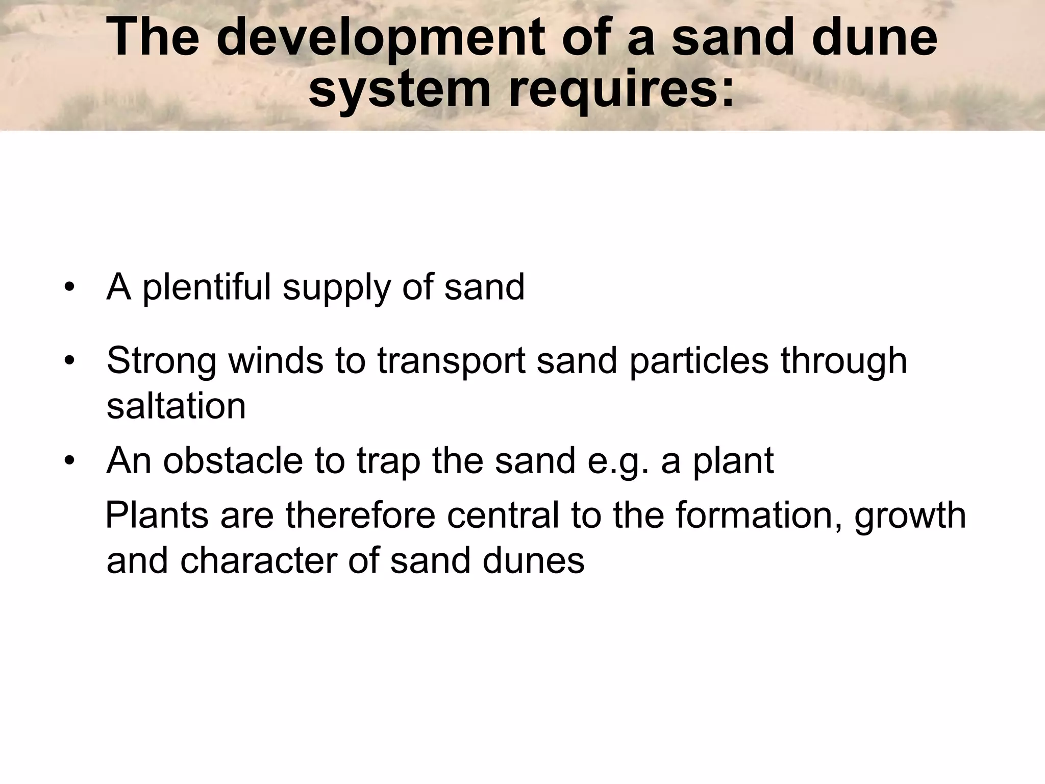 Igcse geog dune succession | PPT