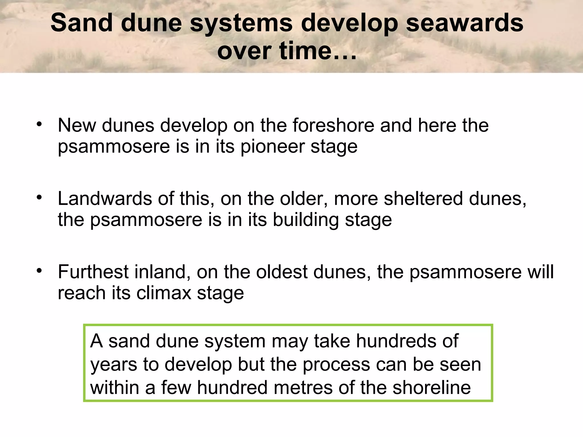 Igcse geog dune succession | PPT