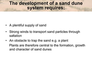 Igcse geog dune succession | PPT