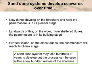 Igcse geog dune succession | PPT