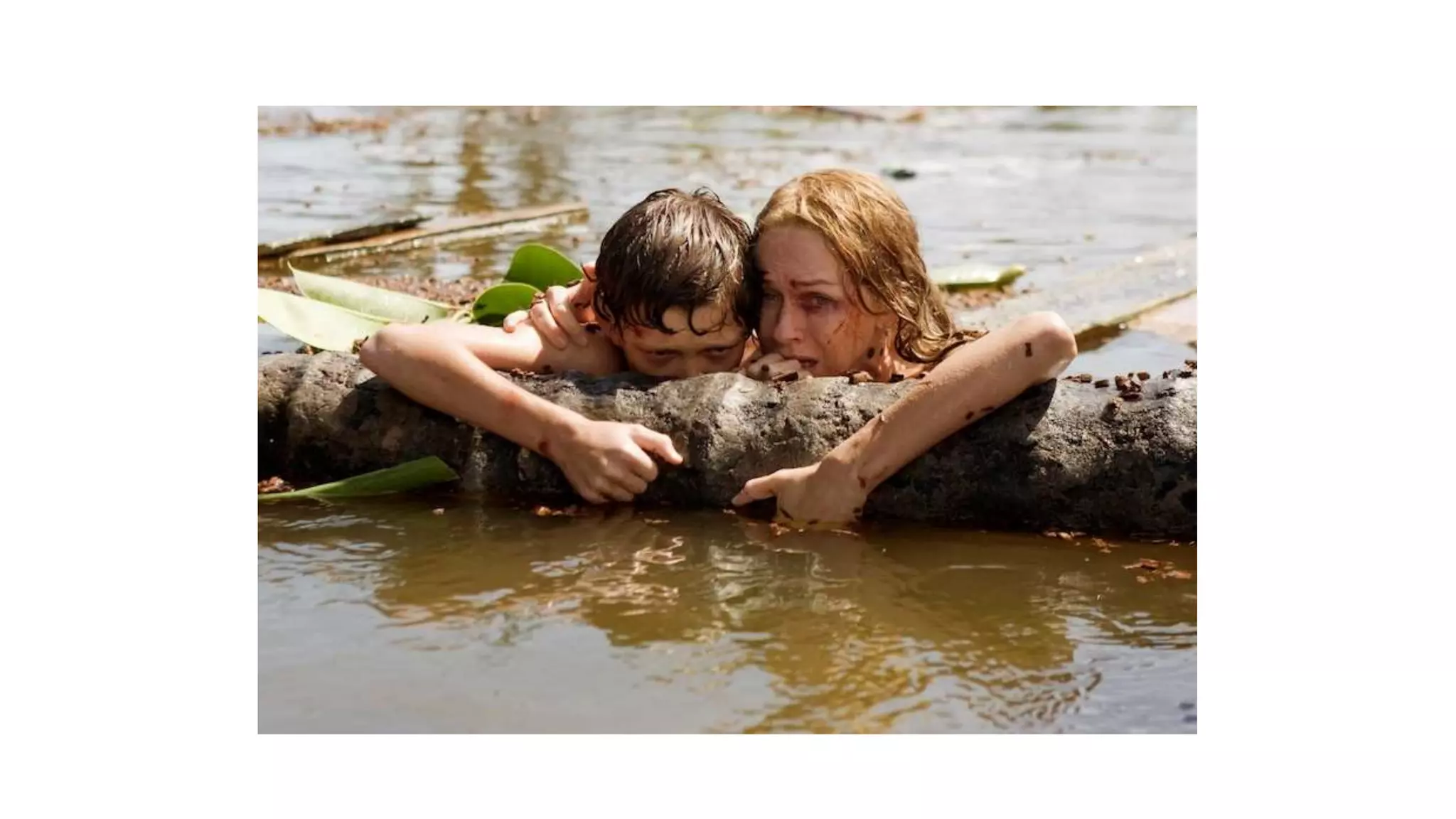 Igcse language creative writing stimuli | PPTX