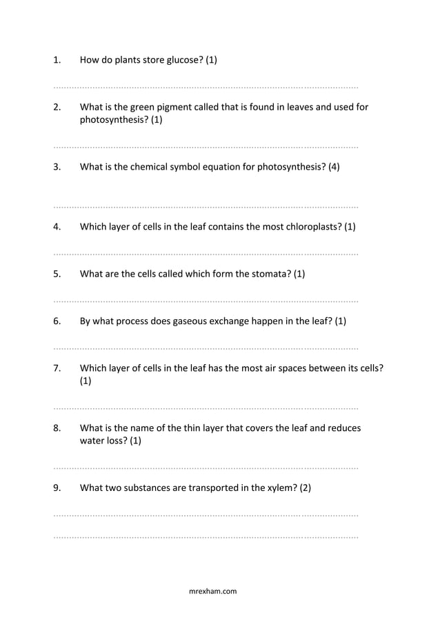 IGCSE Biology Revision Quiz - Plant Physiology | DOCX | Gardening ...