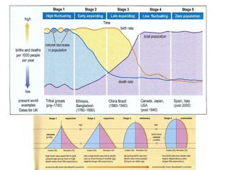 Igcse Population Change Review | PPT