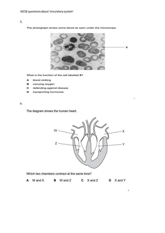 Igcse questions for the heart | DOCX