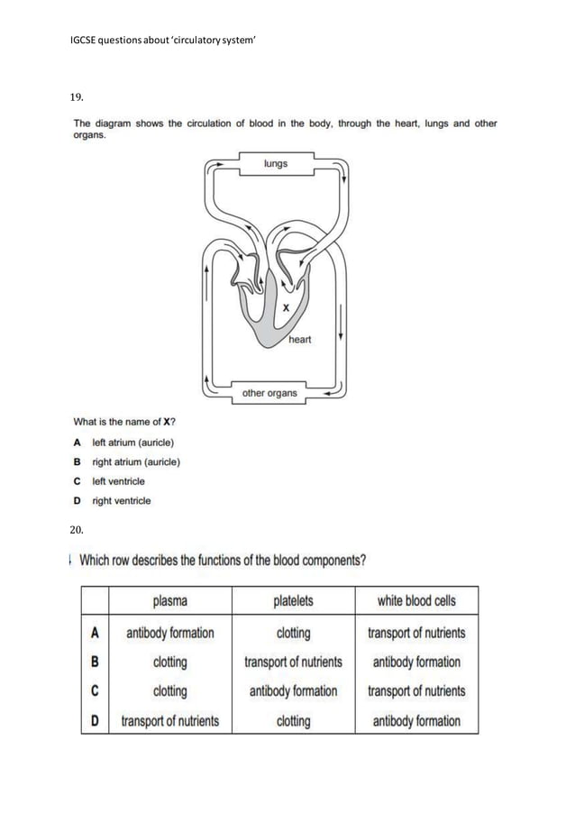 Igcse questions for the heart | DOCX