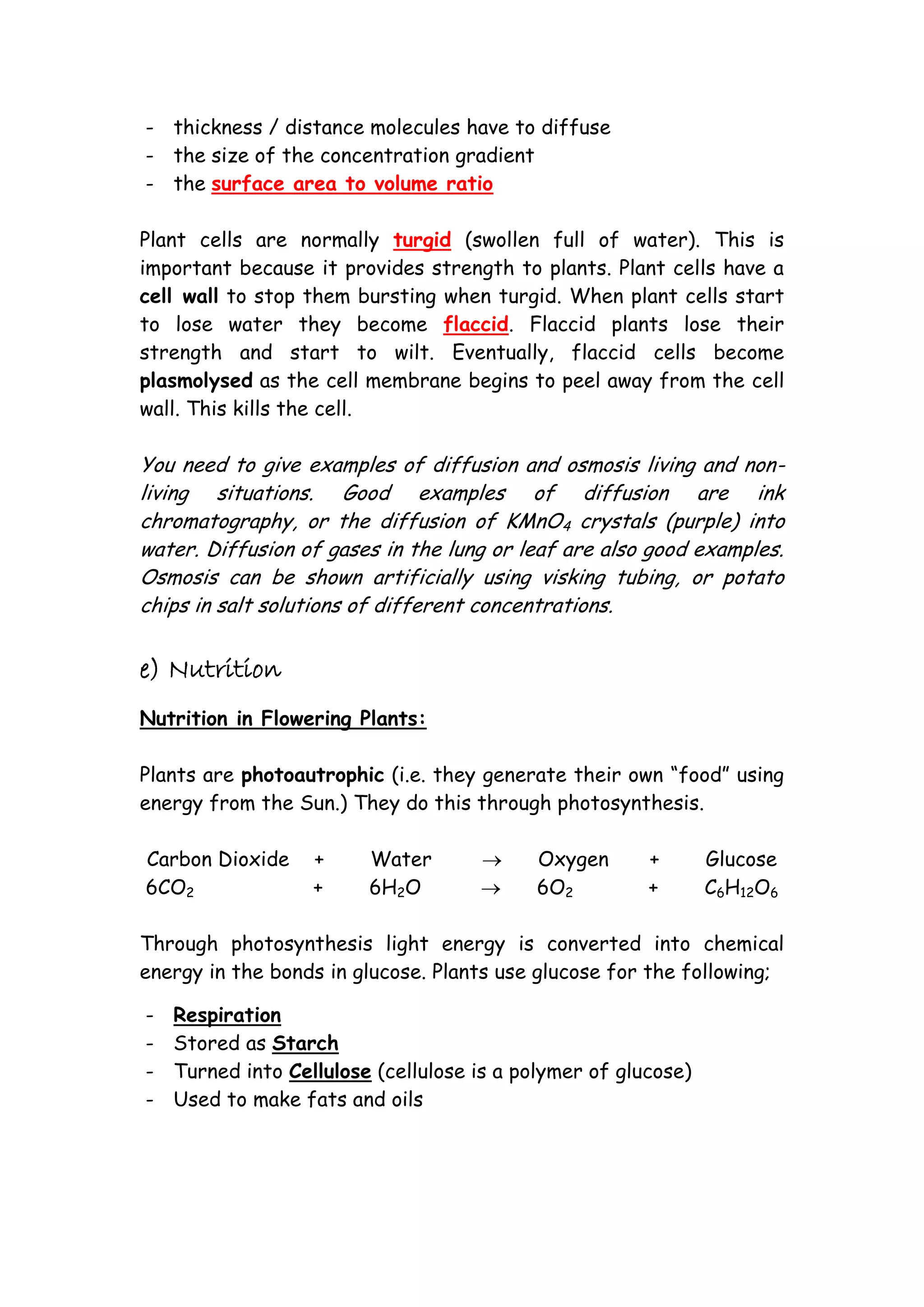 IGCSE Biology Revision Notes 2 | PDF