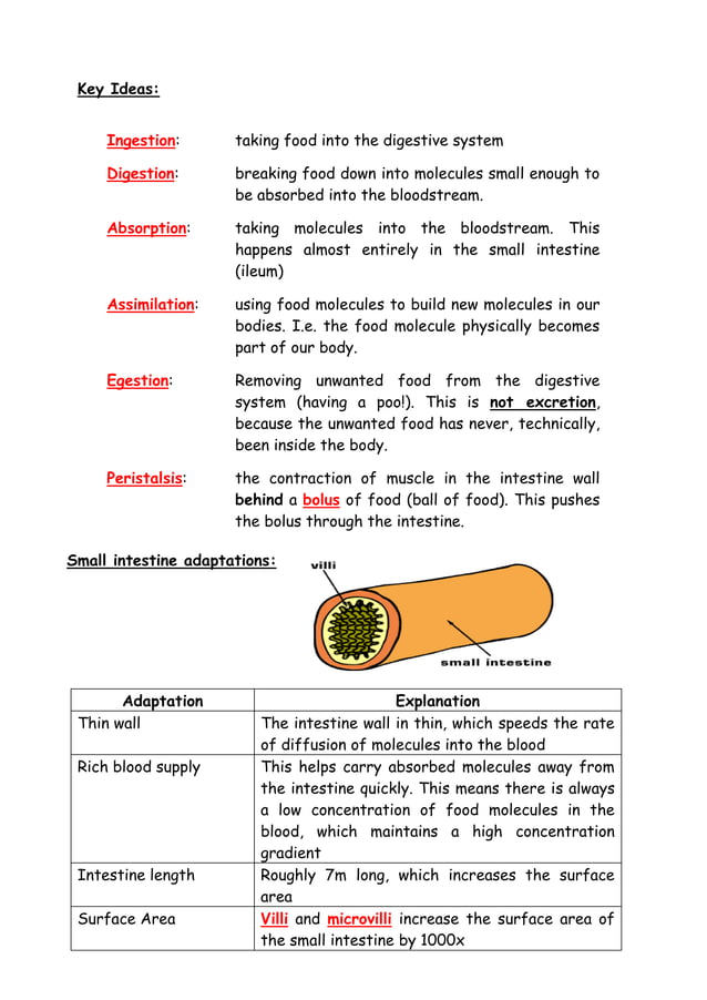 IGCSE Biology Revision Notes 2 | PDF | Chemistry | Science