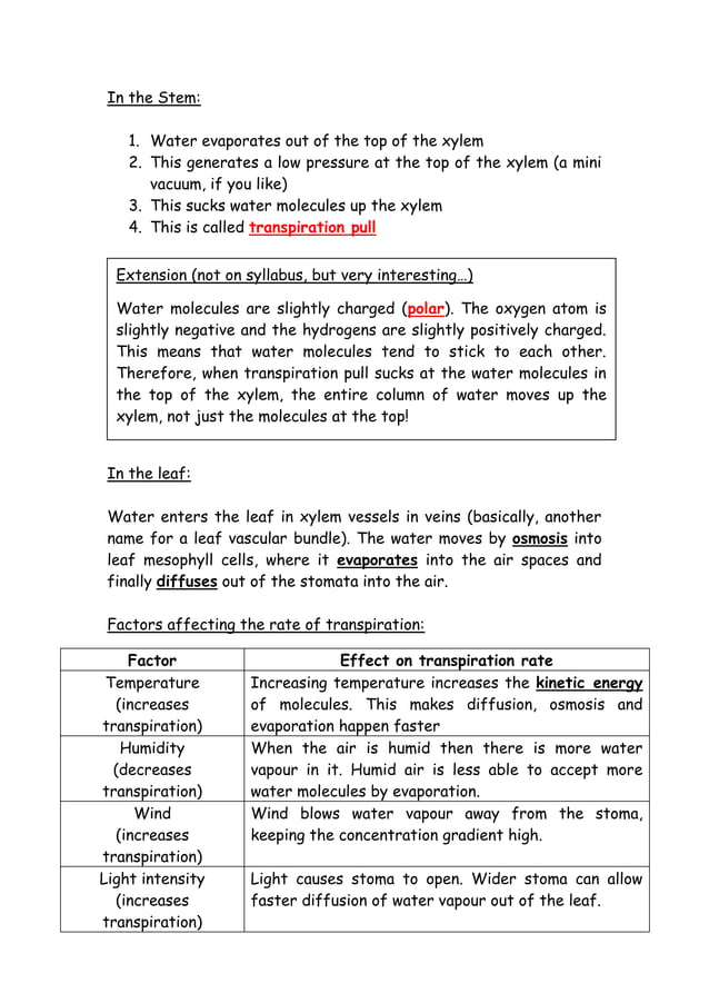 IGCSE Biology Revision Notes 2 | PDF | Chemistry | Science