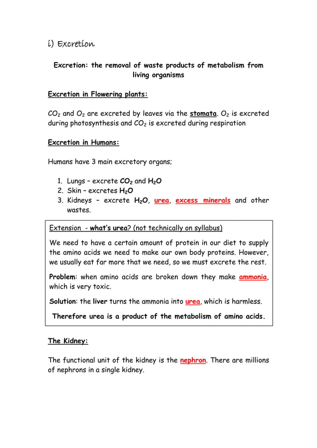 IGCSE Biology Revision Notes 2 | PDF | Chemistry | Science
