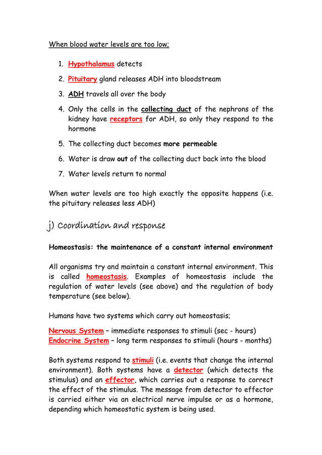 IGCSE Biology Revision Notes 2 | PDF | Chemistry | Science