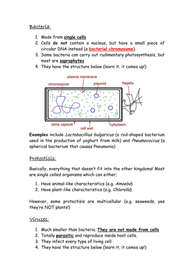 IGCSE Biology Revision Notes 2 | PDF | Chemistry | Science