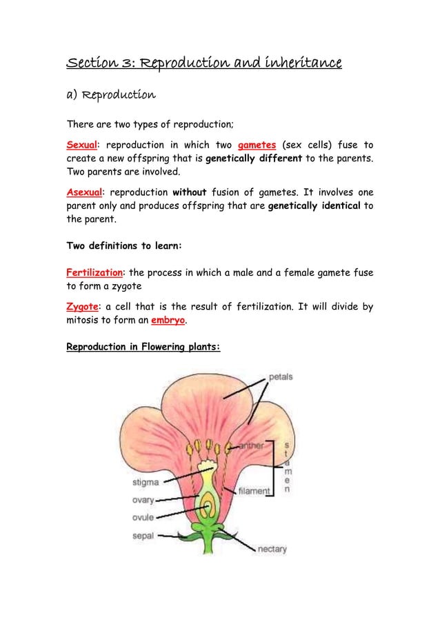 IGCSE Biology Revision Notes 2 | PDF | Chemistry | Science