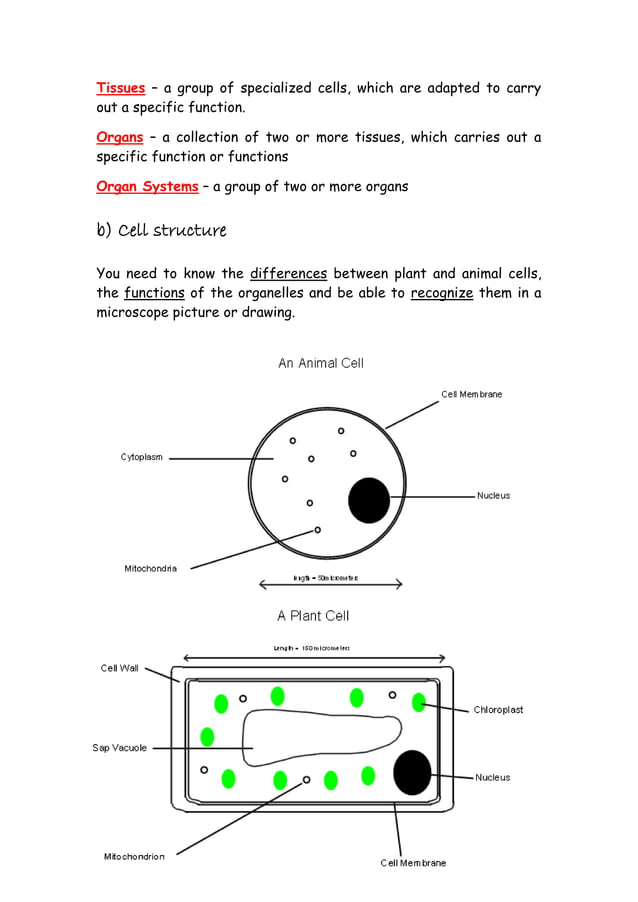 IGCSE Biology Revision Notes 2 | PDF | Chemistry | Science