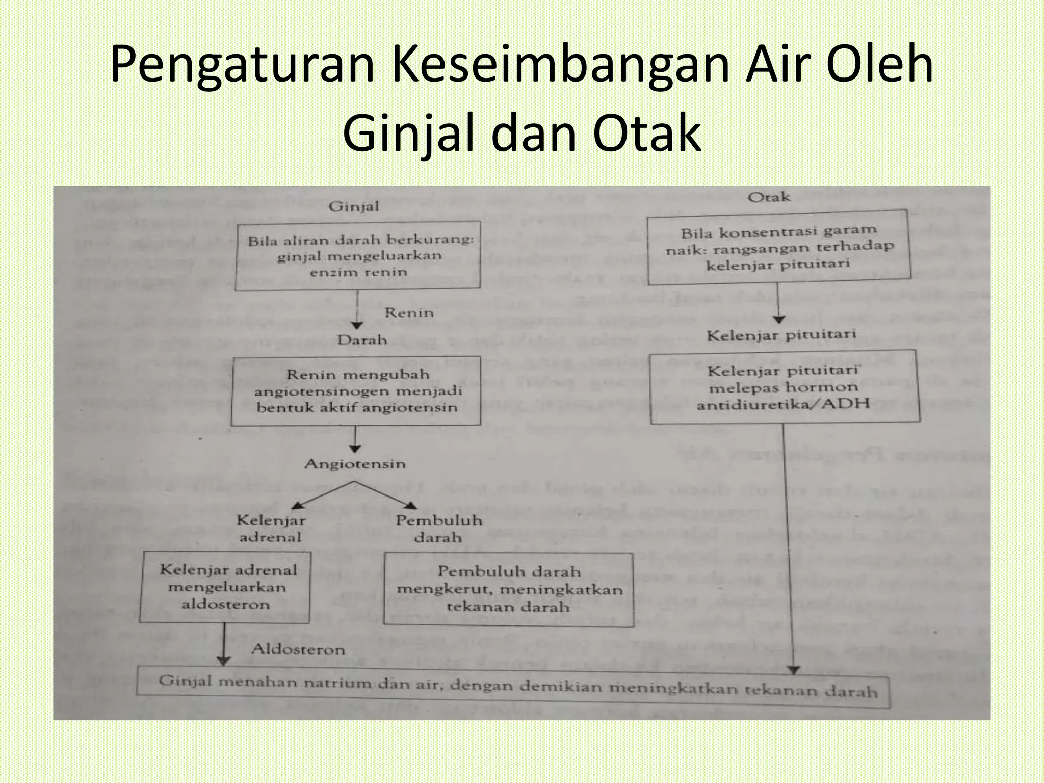 IGD air dan elektrolit.pptx