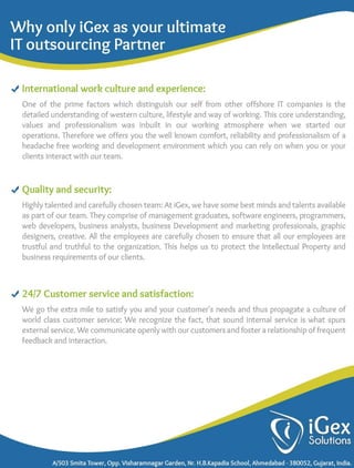 IGex Solutions - Software Development Company | PDF