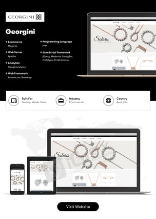 Website Development Brochure | PDF | Web Development | Internet