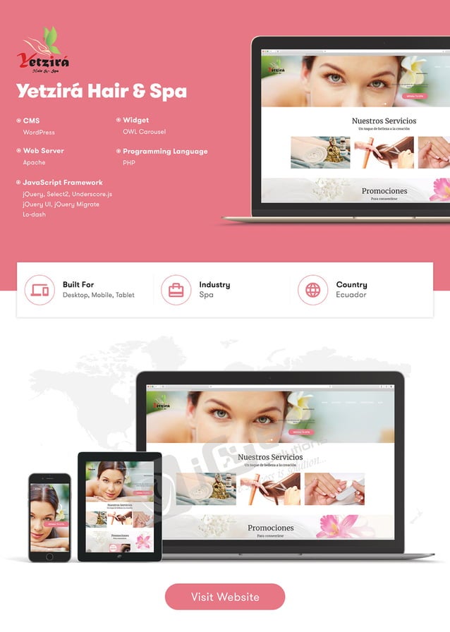 Website Development Brochure | PDF | Web Development | Internet